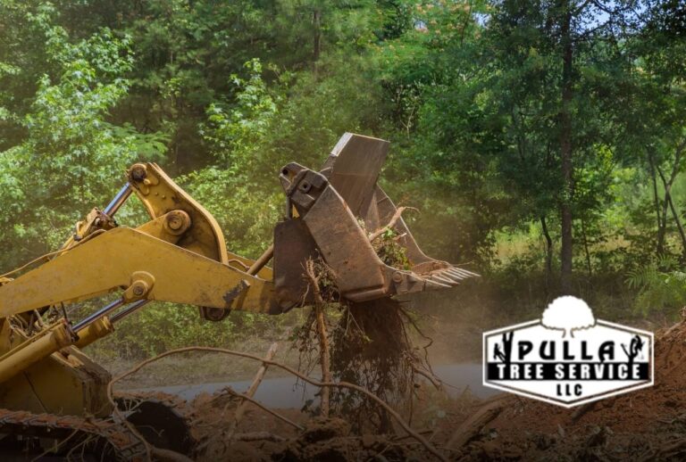 How to Clear Land and Prepare for New Projects